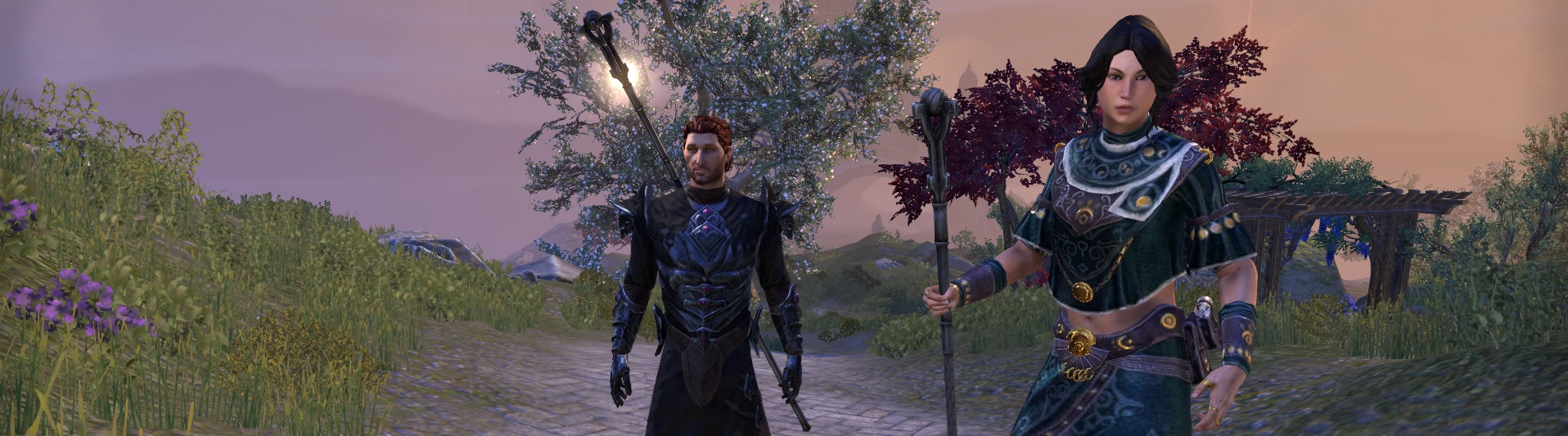 Bastian Hallix : Build Healer - ESOAZ