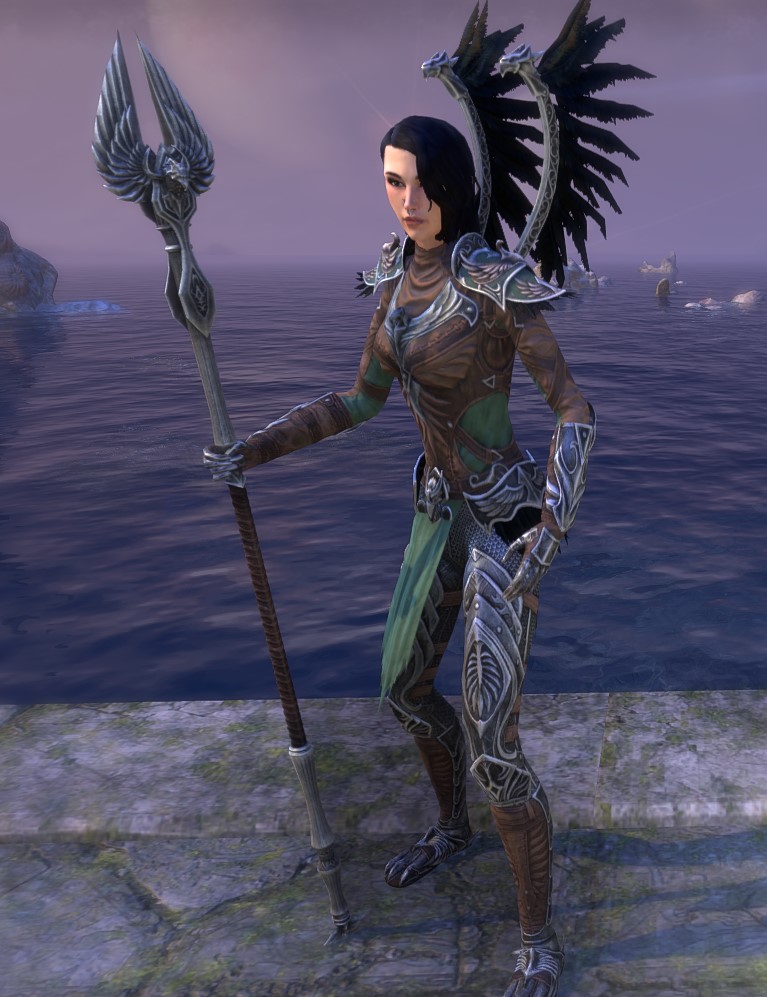 Motif artisanal 67 : Les Welkynars - TESO - ESOAZ